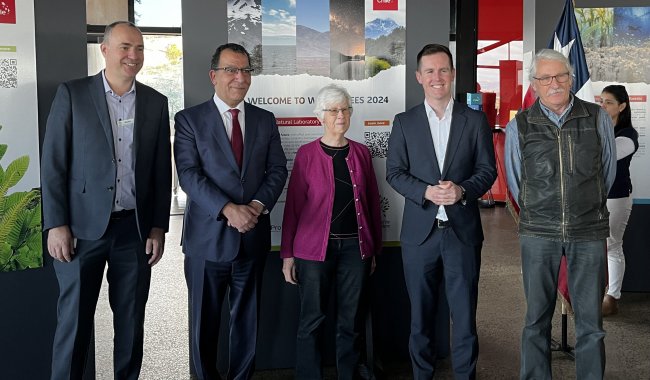 Chile inaugura exhibición Warm Trees 2024 en el Arboretum Nacional de ...